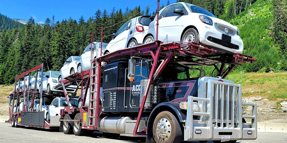 NAVTA – Our Mission